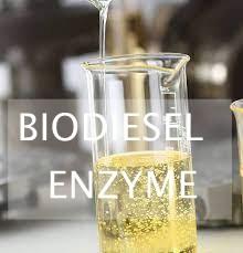 China 25KG/Bag High Performance Biodiesel Enzyme Boost Biofuel Production for sale