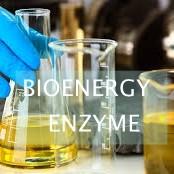 China Stable Biodiesel Enzyme Production Empowering Sustainable Fuel Generation for sale