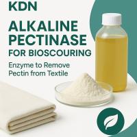 China Efficient Economical Eco-Friendly Your Bioscouring Partner In Alkaline Pectinase for sale