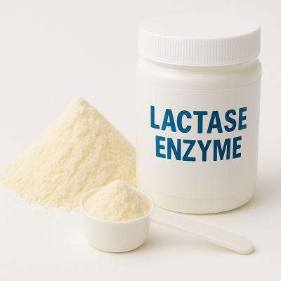 China Beta-Galactosidase Enzyme Lactase Substitute For Lactose-Free Dairy Products Food Enzymes for sale