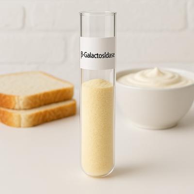 China Nutritional Improvement Food Supplement Lactose And Yogurt With Thermal Resistance Effective At 5–65°C for sale
