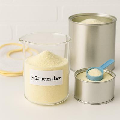 China Easy To Handle Lactose Free Dairy Yogurt For Irreversible Binding Freezing In Powder Form for sale