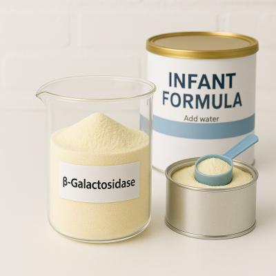 China Light Yellow Powder Lactose Free Dairy Yogurt Irreversible Binding Forms Covalent Bonds Resistant to Heat for sale