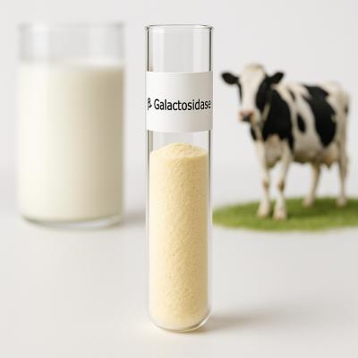 China Customizable Dosage Lactose Free Dairy Yogurt In Light Yellow Powder For Various Processing Needs for sale