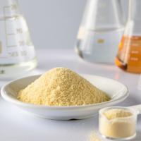 China High-Activity Glucose Isomerase Powder for Efficient High Fructose Syrup ProductionHigh for sale