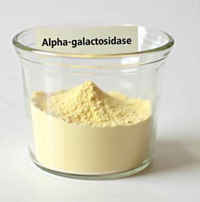 China Alpha-galactosidase | Efficient Hydrolysis, Enabling New Experiences in Health Foods and Digestive Wellness for sale
