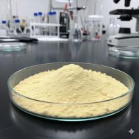 China High-Activity Food Enzyme | Xylanase for Bread & Beer for sale