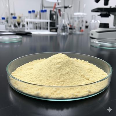 China High-Activity Food Enzyme | Xylanase for Bread & Beer for sale