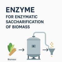 China Alcohol Enzyme Optimized for Effective Alcohol Decomposition and Accelerated Fermentation in Industrial Biotechnology for sale