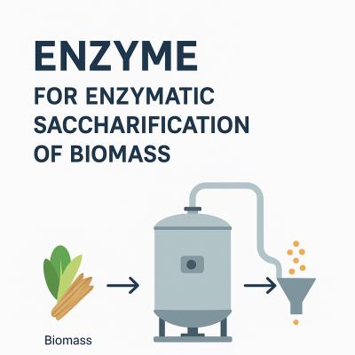 China Alcohol Enzyme Optimized for Effective Alcohol Decomposition and Accelerated Fermentation in Industrial Biotechnology for sale