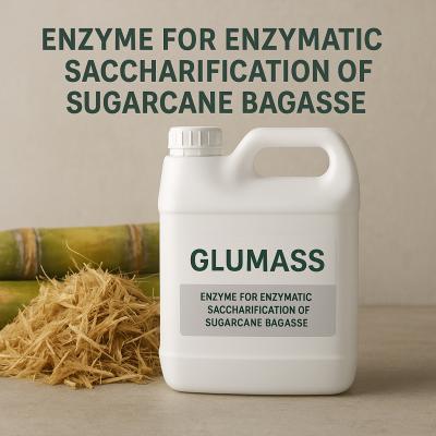 China Biomass Milling Machine For Straw Corn Cobs Sugarcane Bagasse And Other Lignocellulosic Materials Ensuring Steady Output for sale