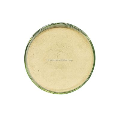 China Highly Concentrated Cellulase Powder for Denim Washing with Wide Temperature Range and Premium Wash Looks for sale