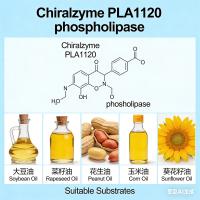 China Chiralzyme PLA1120 | High-Efficiency Phospholipase A1 for Oil Degumming | KDN for sale