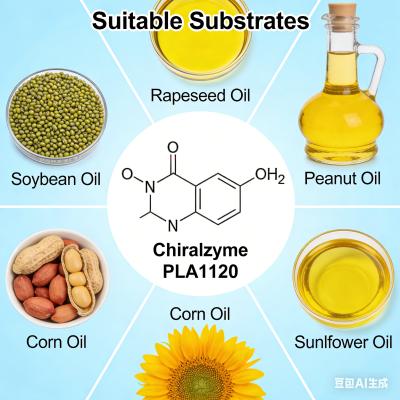 China KDN Chiralzyme PLA1120: Superior Oil Degumming Enzyme for Crude Oil Refining for sale