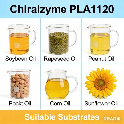 China KDN Chiralzyme PLA1120 High-Efficiency Phospholipase for Industrial Oil Degumming for sale