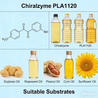 China Chiralzyme PLA1120 | Food-Grade Enzyme for Cost-Saving Oil Refining for sale