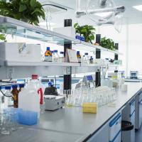 China Odour Removal and Toxic Pollutants Probiotics in Powder Form Aquatic Animal Friendly for sale