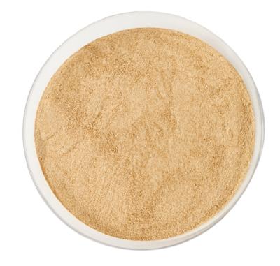China New Probiotics Enzyme / Bacteria / Microbes Powder for Odor Removal and Duct Unclogging for sale