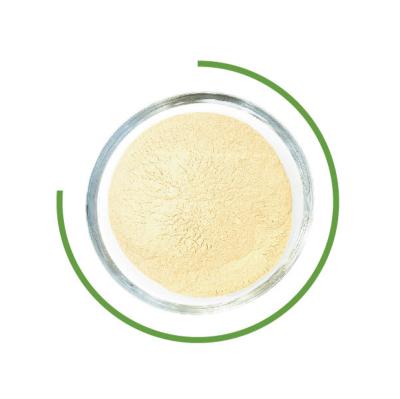 China Trichoderma Reesei Cellulase Washing Powder Microbial Enzymes In Textile Industry for sale