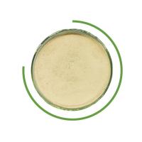 China Denim Washing Abrasion Cellulase Enzyme Neutral Enzyme Cellulase Jeans Granule for sale