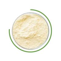 China Neutral Cellulase for stone washing Stonezyme for sale