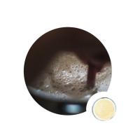 China Starch Hydrolysis Glucoamylase Fermentation Digestive High Conversion Rate for sale