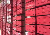 China Solar Lead Acid Deep Cycle Battery 12v 175ah Inverter Battery For Telecom / UPS for sale