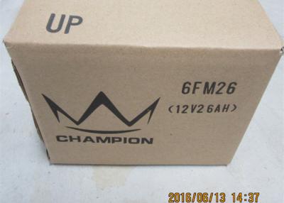 China Off Grid Power Inverter Power Gel Lead Acid Battery 28ah 12v Deep Cycle Battery for sale
