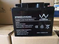 China Long Cyclic Life High Power Gel Lead Acid Battery 42ah 12 Volt Gel Cell Battery for sale
