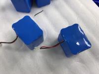 China Maintenance Free 24V Lithium Battery With Built - In Automatic Protection for sale