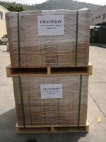China 151 * 50 * 100 Mm Sealed Lead Acid Battery 6V 10Ah Capacity For Smoke Detector for sale