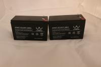 China Dry 12 Volt Sealed Lead Acid Battery Absorbent Glass Mat Technology for sale