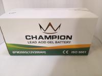 China Anti Sulfate Gel Cell Car Battery / OEM Deep Cycle Gel Marine Battery for sale