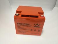 China 12v 40ah AGM Lead Acid Battery With Good Cyclic Property 197*165*170 mm for sale