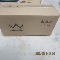 China Valve Regulated Agm Deep Cycle Battery , Charging Sealed Lead Battery for sale
