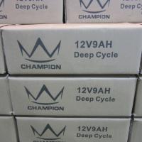China 12V 12AH 20hr Rechargeable Deep Cycle Battery F250 Terminal for sale