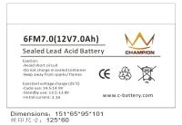 China 6FM7 F250 12v 7ah Uninterruptible Power Supply Battery for sale