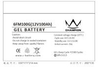 China 6FM100 12V 100AH GEL AGM Battery For Solar System for sale