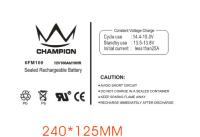 China 6FM100 12V 100AH GEL AGM Battery For Solar System for sale