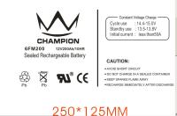 China 6FM 200G 12V 200Ah Deep Cycle Inverter Battery UL94V-0 for sale