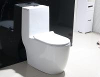 China Dual-Flush Single Piece Toilet with Scratch Resistant Glaze for sale