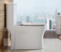 China Dual-Flush Water Saving One Piece Toilet White Ceramic for sale