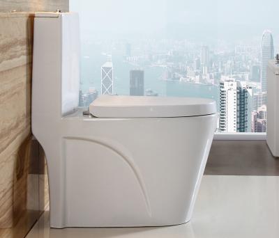 China Dual-Flush One Piece Toilet with Ceramic Water Tank for sale