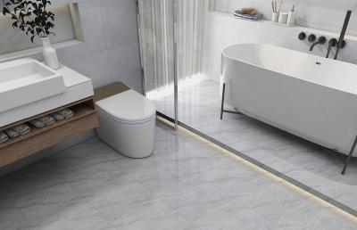 China Gray 400x400mm Ceramic Rustic Tile Matt Glazed Wear-Resistant for sale