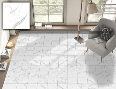 China White 250x250mm Ceramic Rustic Tile for Floor and Wall for sale
