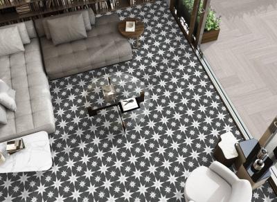 China Gray White Ceramic Rustic Tile 250x250mm for Indoor Floor for sale