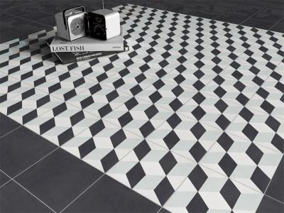 China 20x20cm Black Gray Ceramic Rustic Tile for Indoor Floor for sale