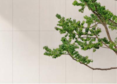 China Clouded White Matte Antique Porcelain Tile 600x1200mm for sale