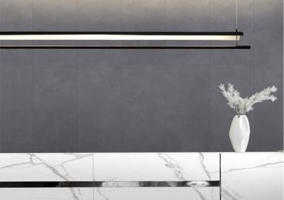 China Cement Grey 60x120cm Acid-Resistant Outdoor Stone Tile for sale