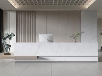 China White 1420x2700mm Sintered Stone Slab for Indoor Flooring for sale